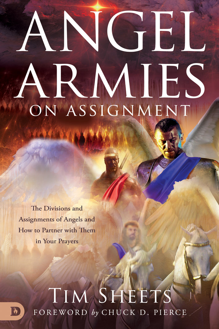 Angel Armies on Assignment – Tim Sheets Ministries
